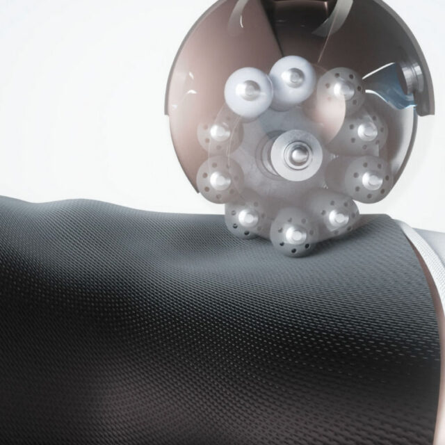 Evolution – Endospheres ČR a SR